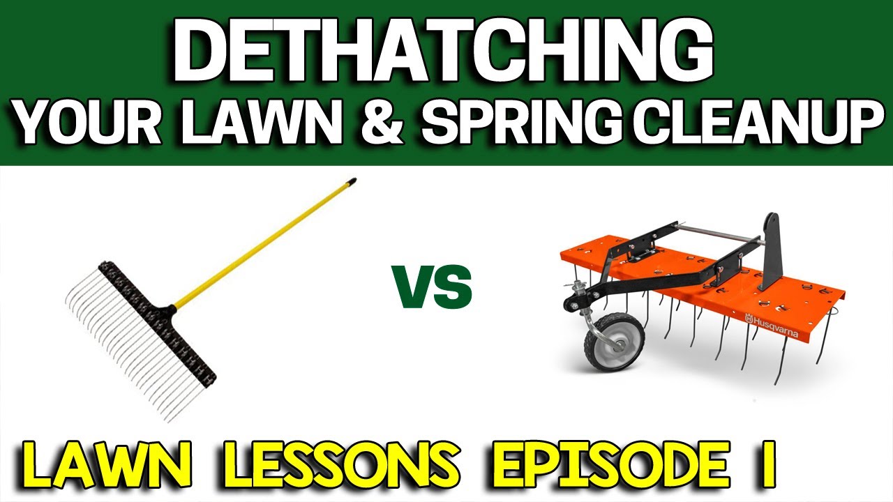 Power Rake Vs Dethatcher: Key Differences for Lawn Care